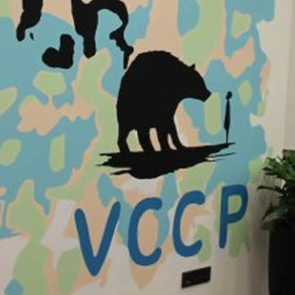 Survive then Thrive - VCCP Singapore