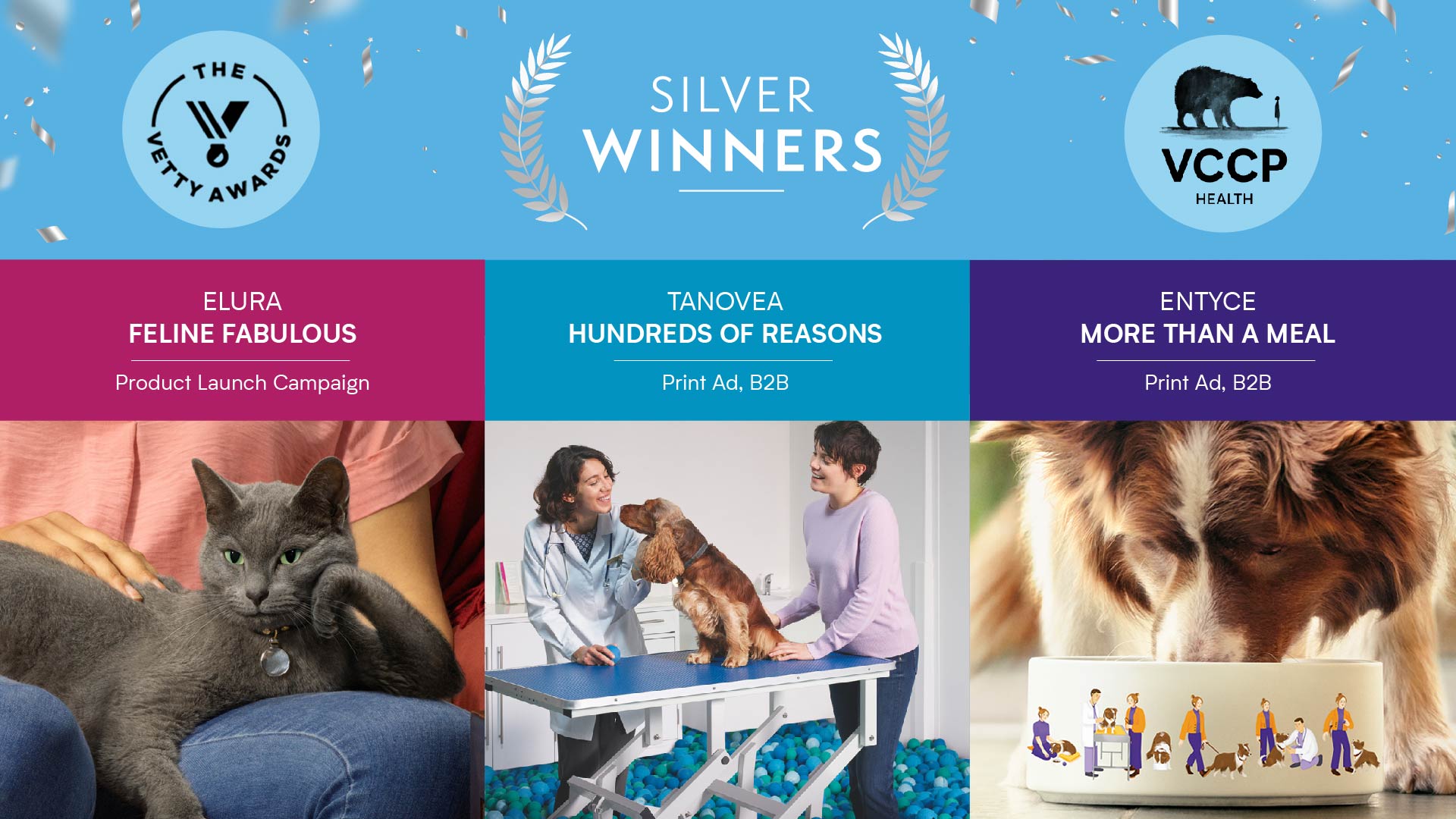 VCCP Health wins three silvers at this years Vettys - VCCP UK