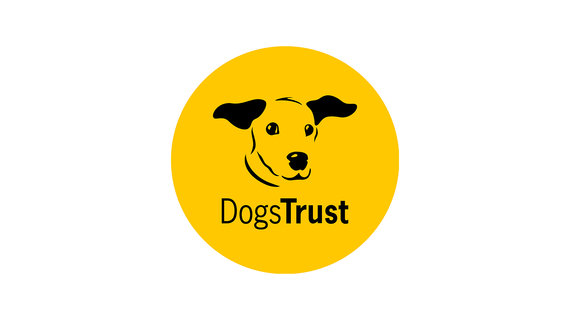 Dogs Trust appoints VCCP as its lead creative agency - VCCP UK