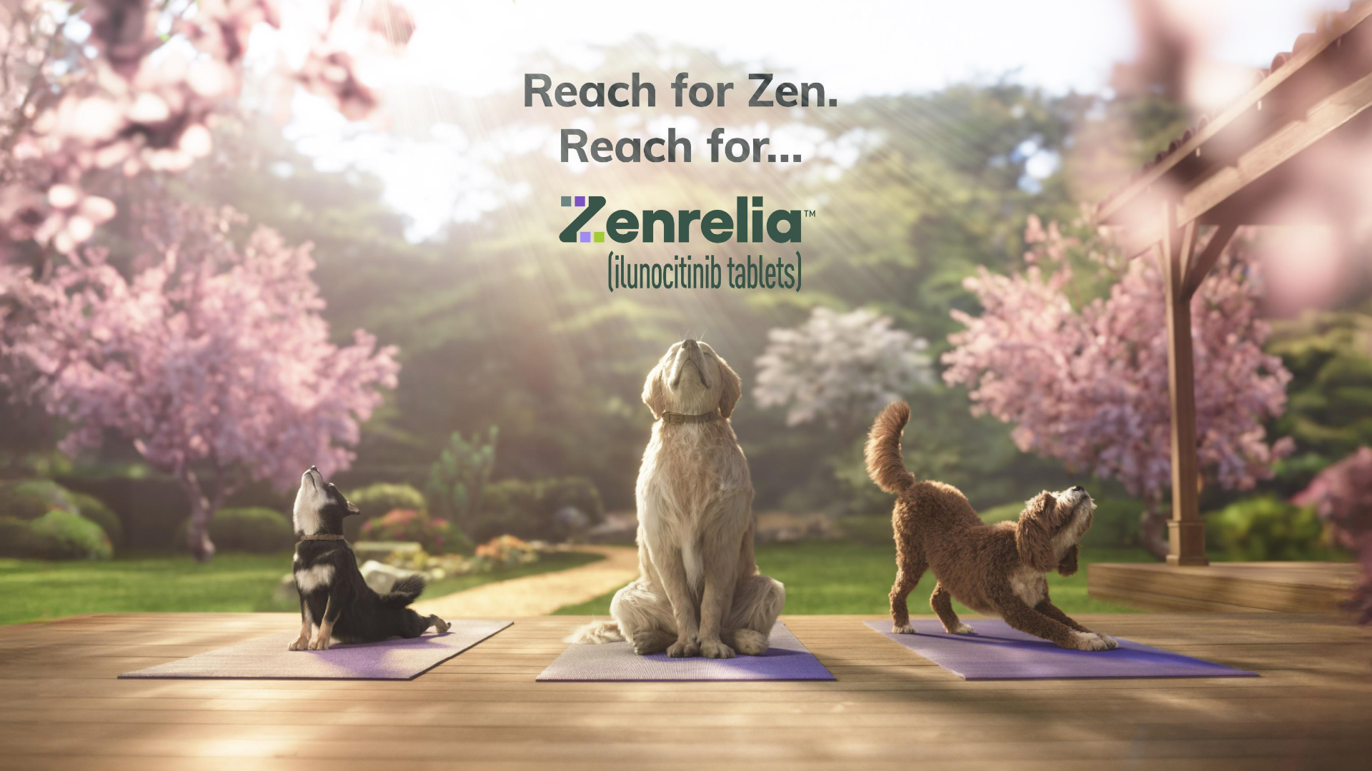 VCCP Health fetches six Vetty Awards - VCCP UK