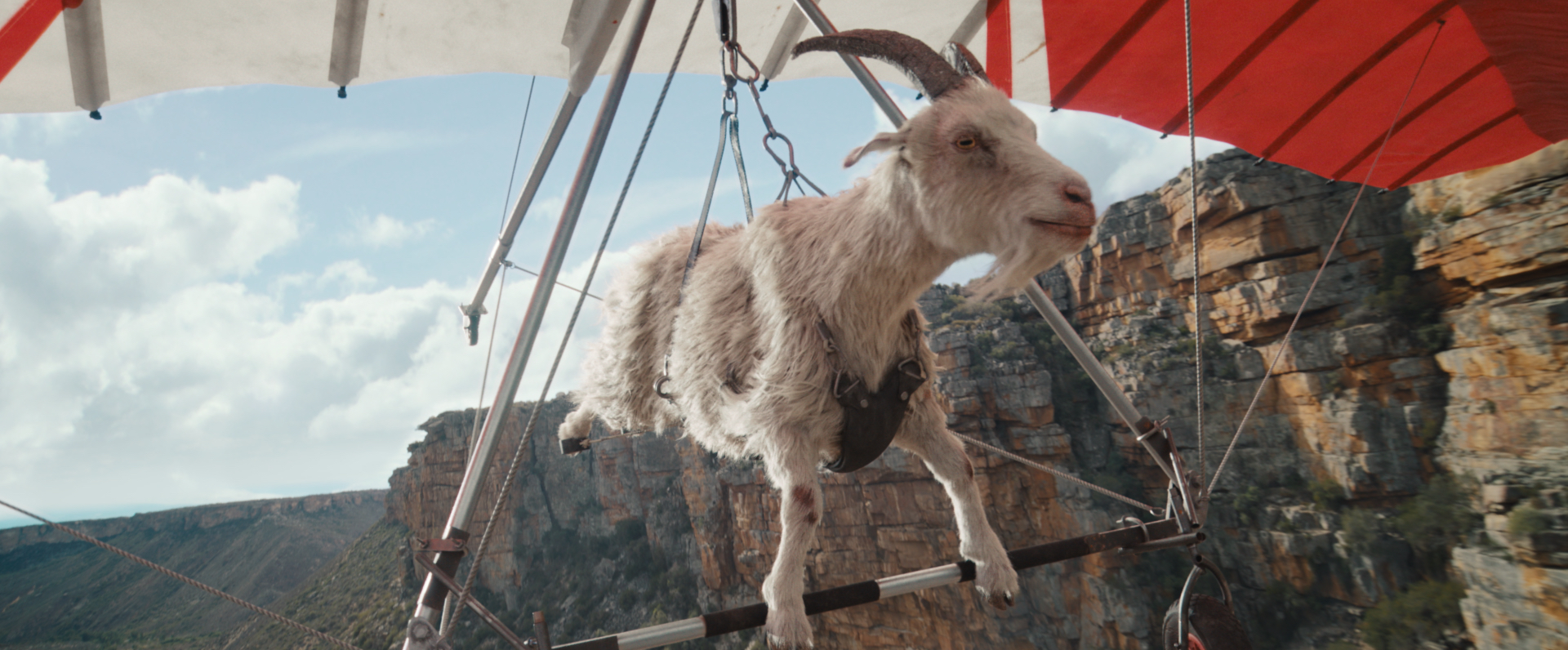 Why stumble when you can soar?: A hang-gliding goat reaches new heights ...